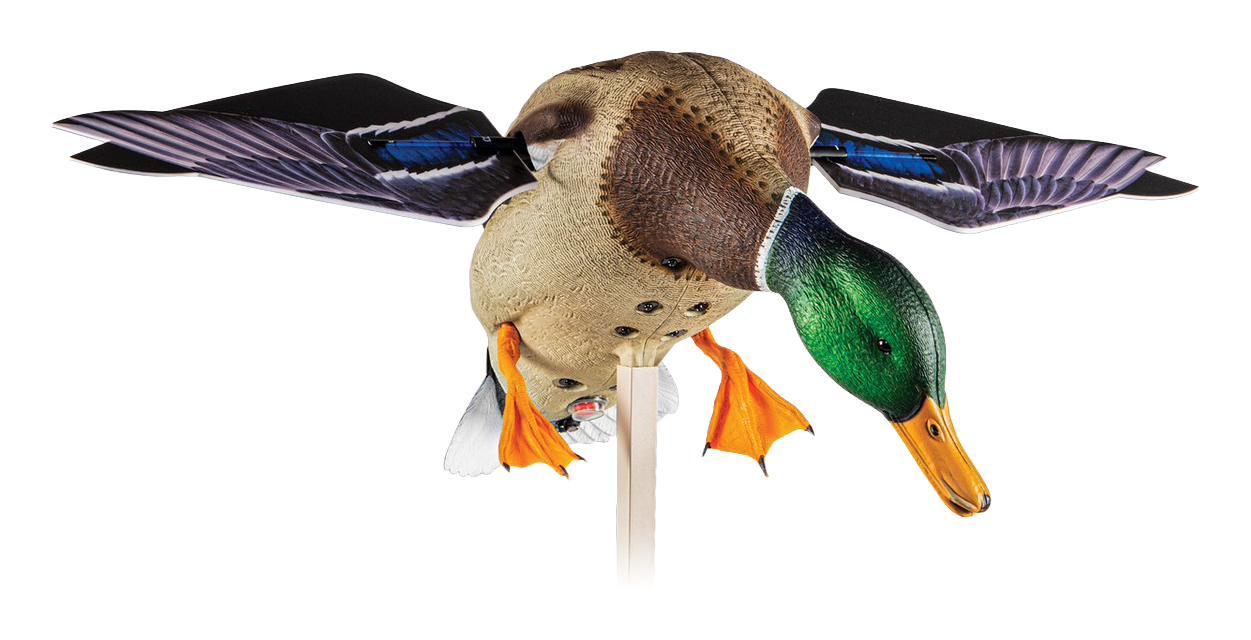 Avian X Powerflight Mallard Replacement Wings | Mack's Prairie Wings